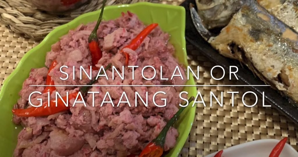 Sinantolan or Ginataang Santol – House of Hazelknots